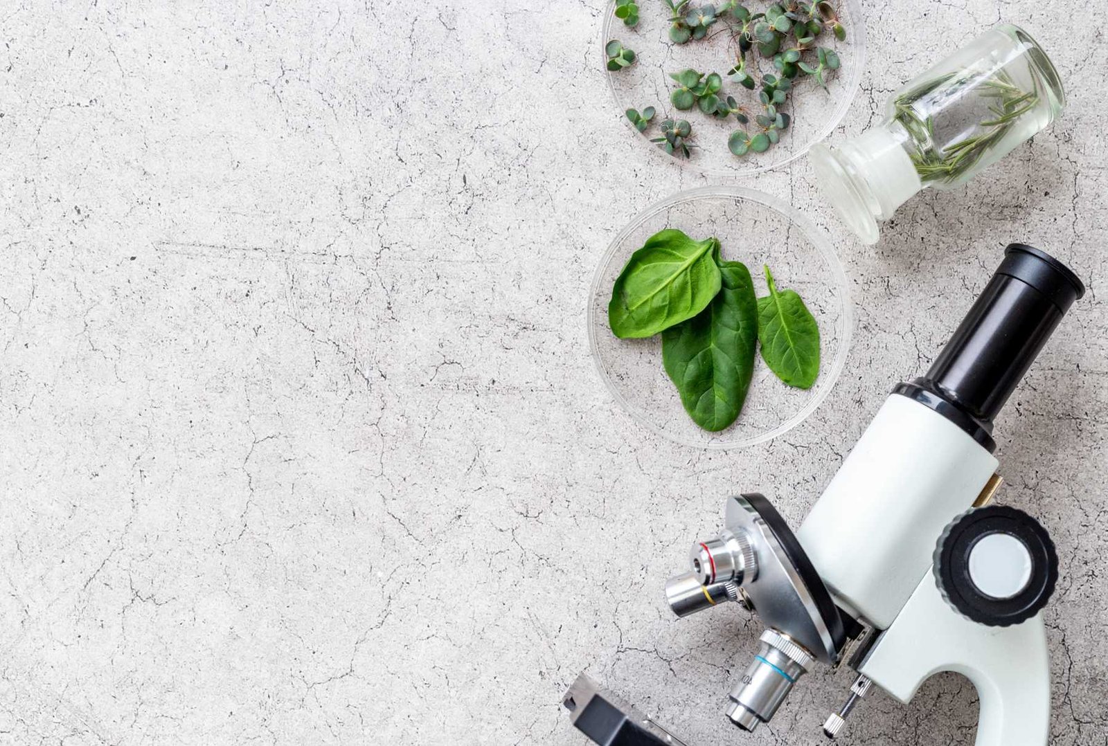 Hexis Lab - AI for Sustainable Product Development & Innovation